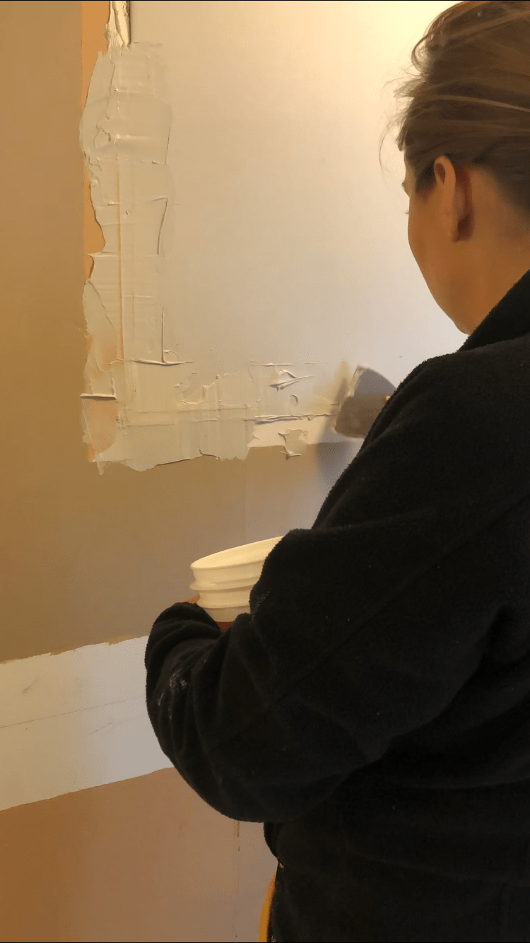 Spring 2021 One Room Challenge: Week 3 – bonita by rachel