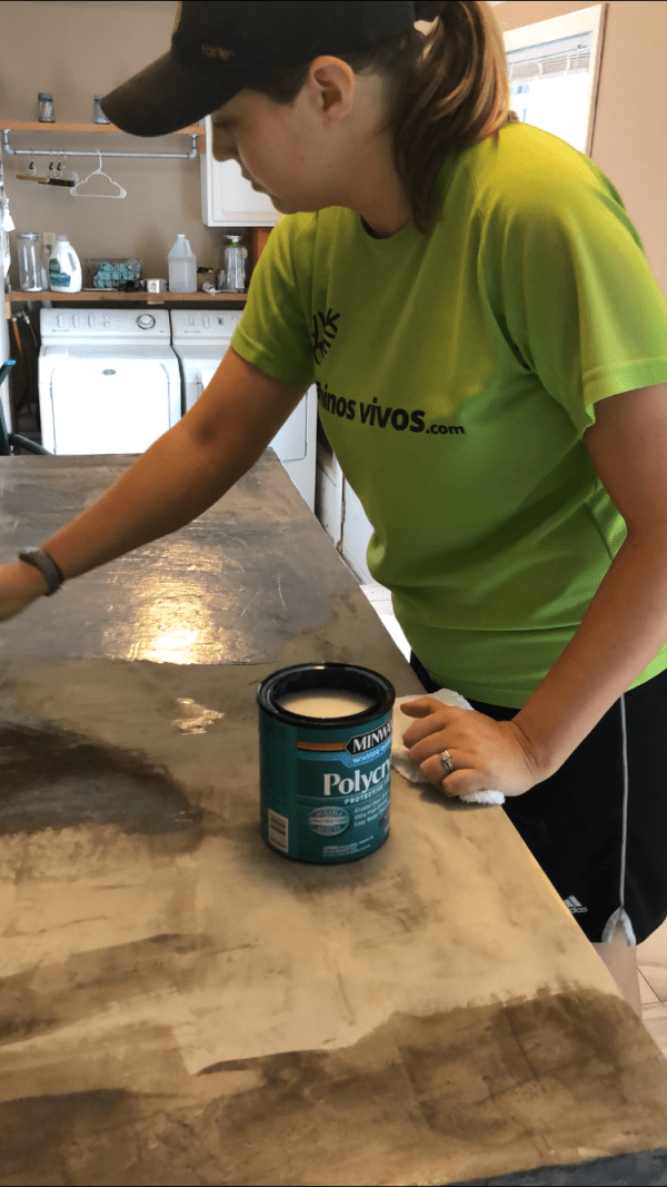 Spring 2021 One Room Challenge: Week 3 – bonita by rachel